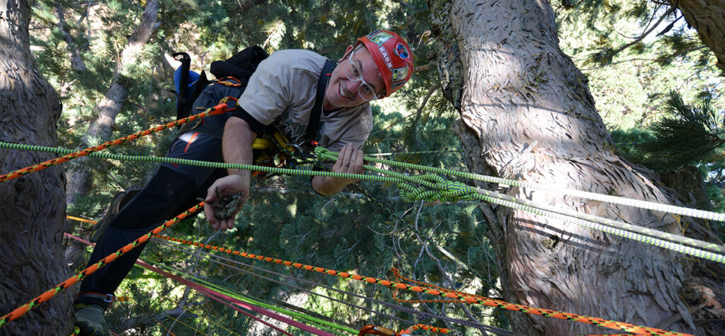 Greetings | Tree Climbing® World